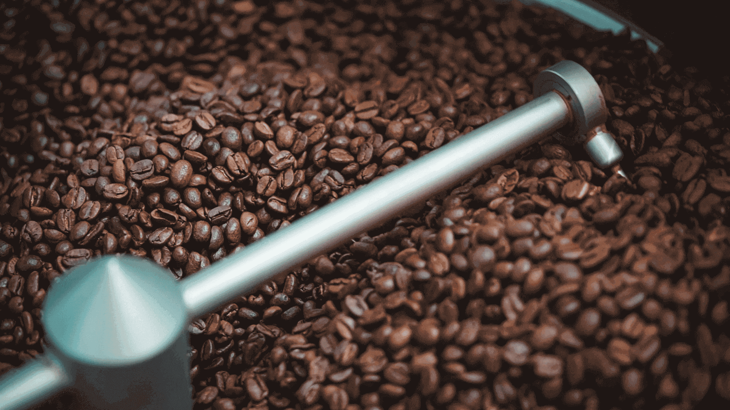 Per'La Specialty Roasters