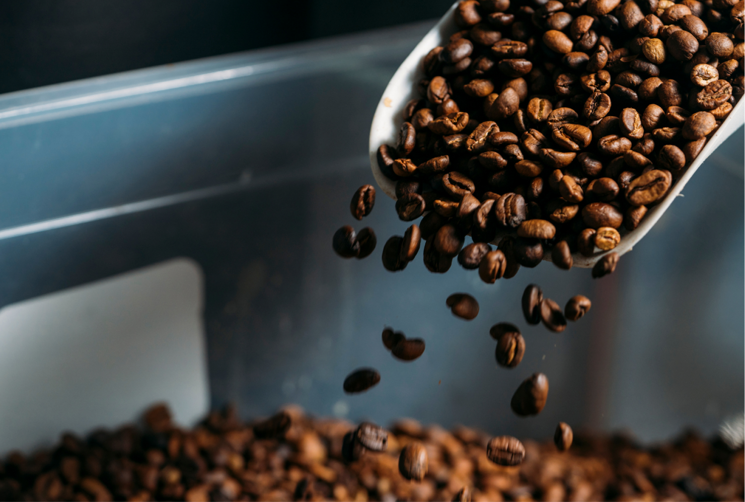 Per'La Specialty Roasters
